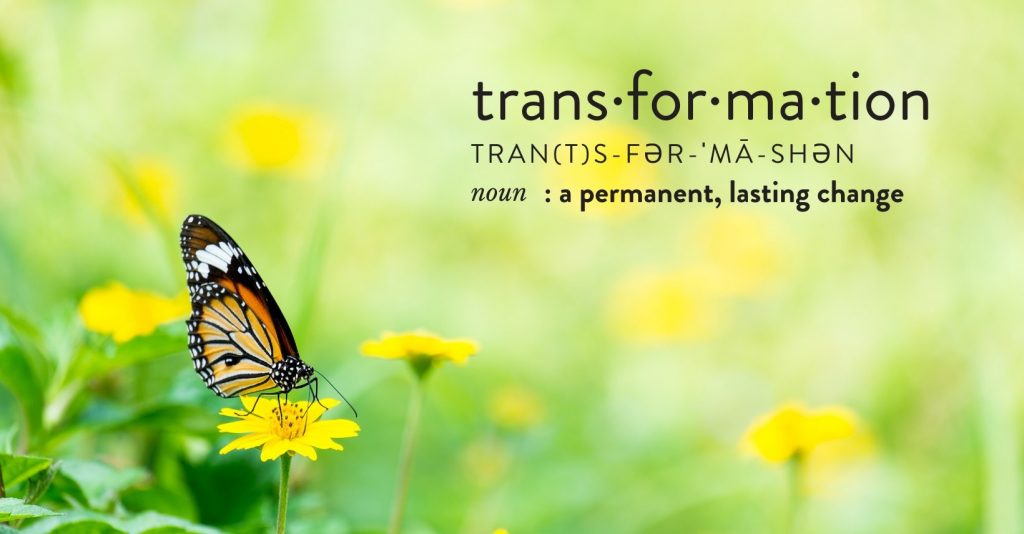 Lifestyle Transformation Support