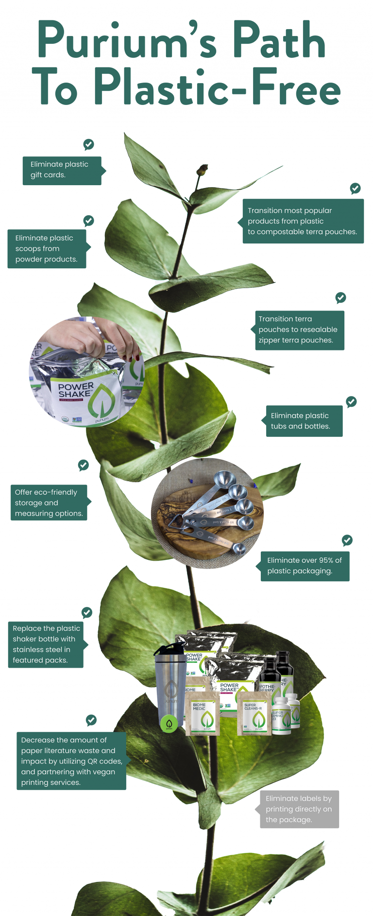 Flex Meal: Purium Pancakes